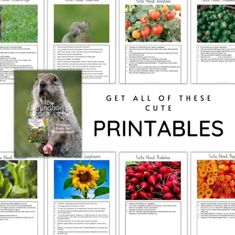 How Groundhog’s Garden Grew Story-related Science Pack For Preschoolers ...