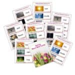 Spring Word Wall Cards for Preschoolers - The Crafting Teacher