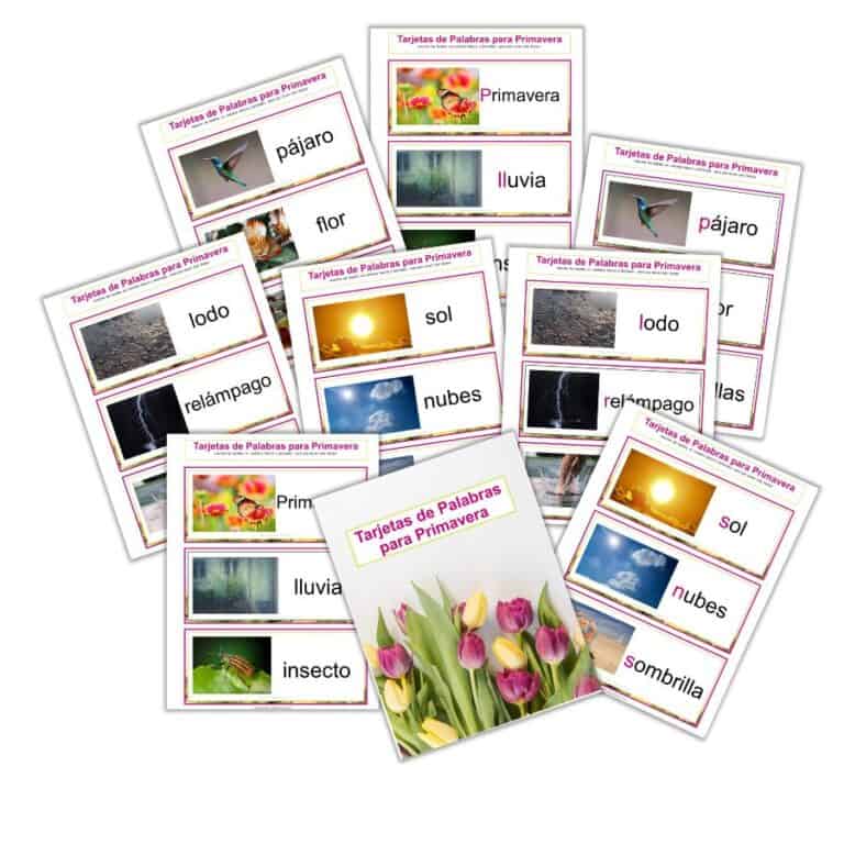 Spring Word Wall Cards for Preschoolers