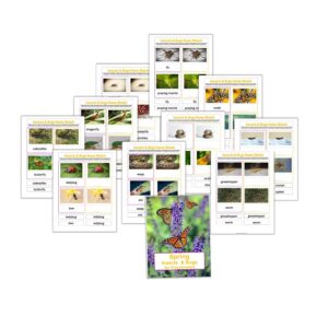 Spring Insects and Bugs for Preschoolers