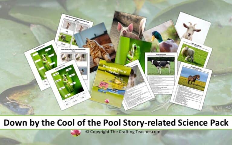 The Tiny Seed Story-related Science Pack For Preschoolers