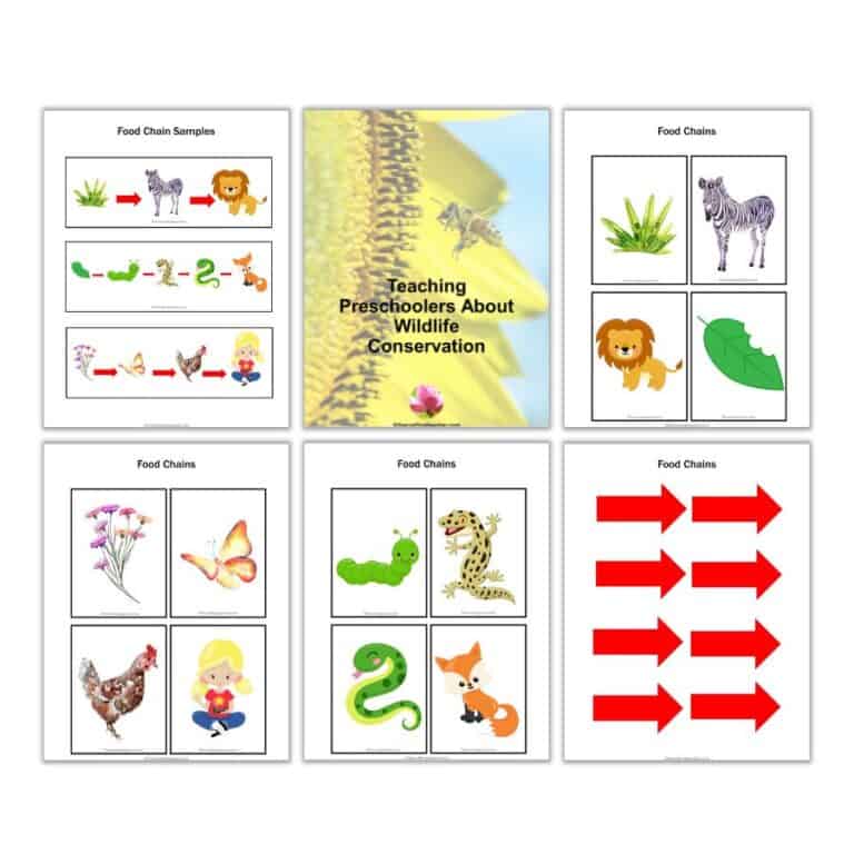 Teaching Preschoolers About Wildlife Conservation