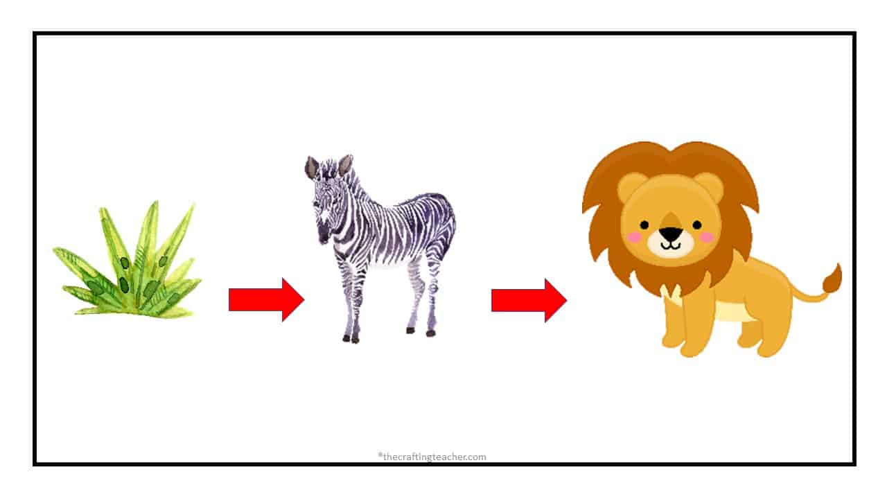 Teaching Preschoolers About Wildlife Conservation
