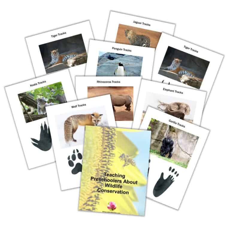 Teaching Preschoolers About Wildlife Conservation