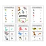 Animal Moms & Babies Matching for Preschoolers
