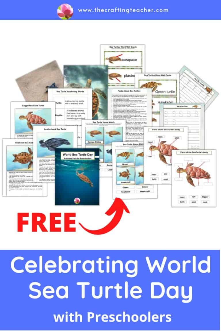 Celebrating World Sea Turtle Day with Preschoolers - The Crafting Teacher