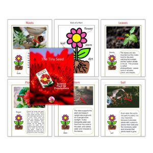 The Tiny Seed Story-related Science Pack For Preschoolers