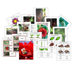 The Tiny Seed Story-related Science Pack For Preschoolers - The ...