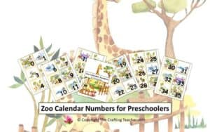 Zoo Calendar Numbers for Preschoolers - The Crafting Teacher