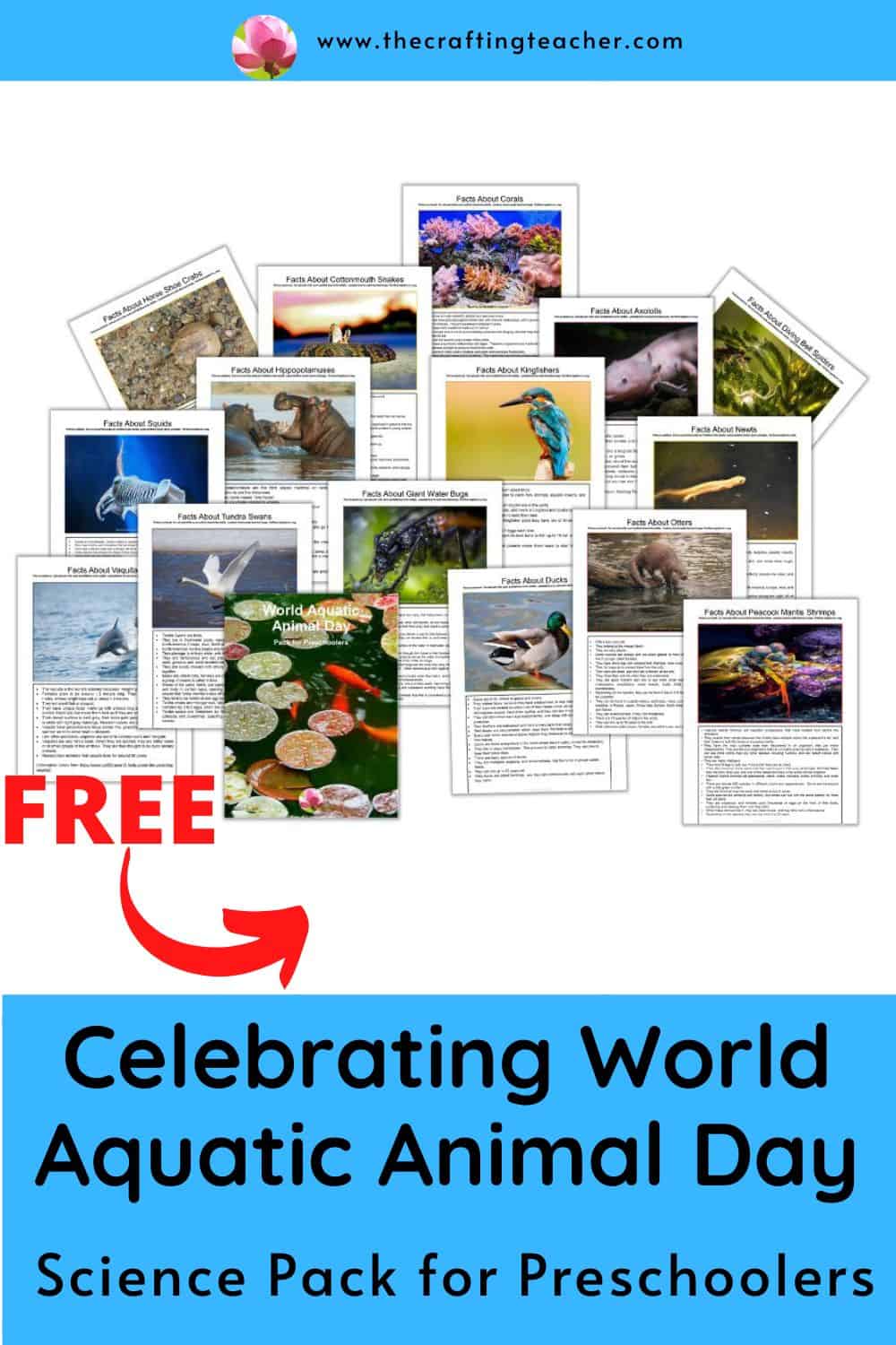 Celebrating World Aquatic Animal Day With Preschoolers