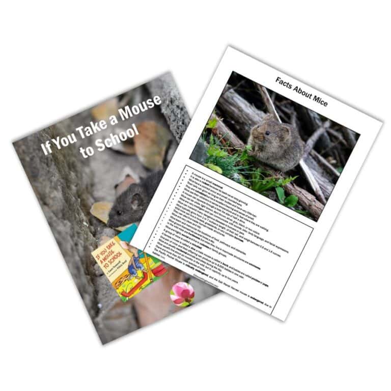 If You Take a Mouse to School Story-related Science Pack For ...