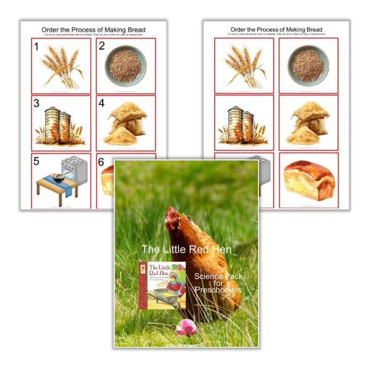 The Little Red Hen Story-related Science Pack for Preschoolers