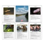 Teaching Preschoolers About Habitats