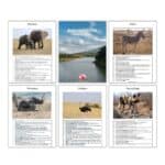 Teaching Preschoolers About Habitats