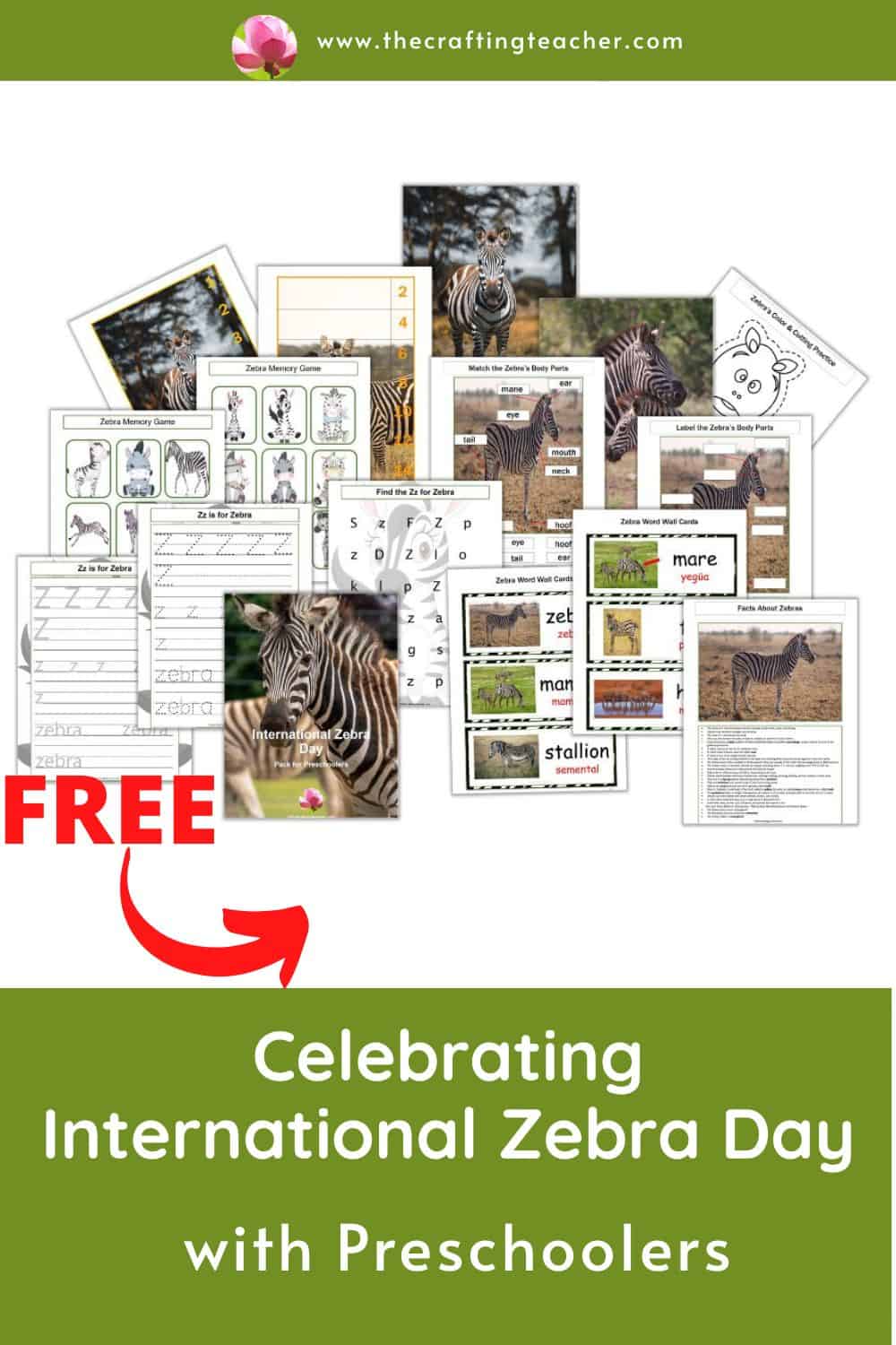 Celebrating International Zebra Day with P reschoolers