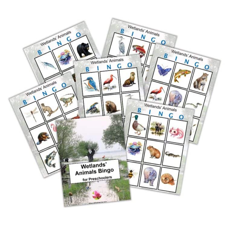 Wetlands’ Animals Bingo for Preschoolers