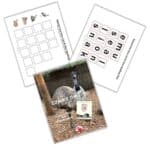 Edward the Emu Story-related Literacy Pack for Preschoolers