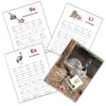 Edward the Emu Story-related Literacy Pack for Preschoolers