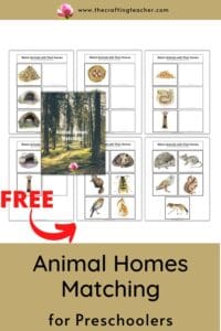 Animal Homes Matching for Preschoolers