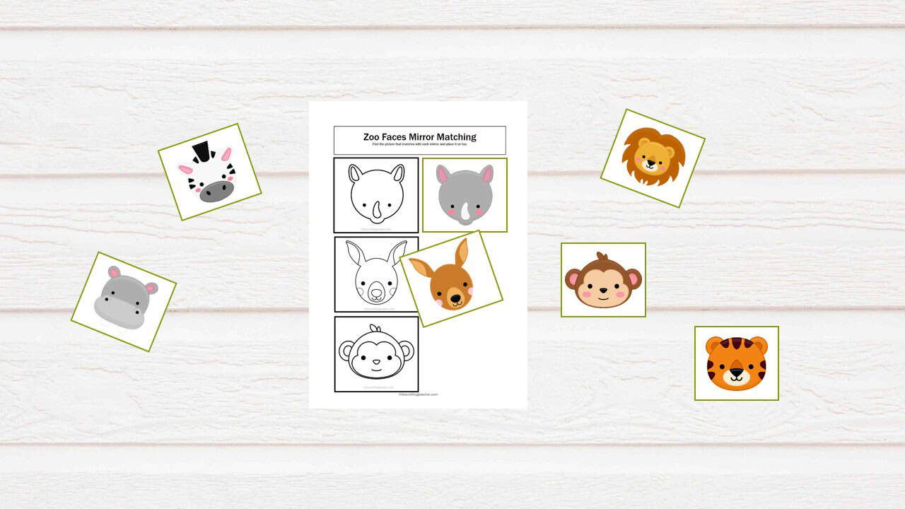 Zoo Faces Mirror Matching for Preschoolers