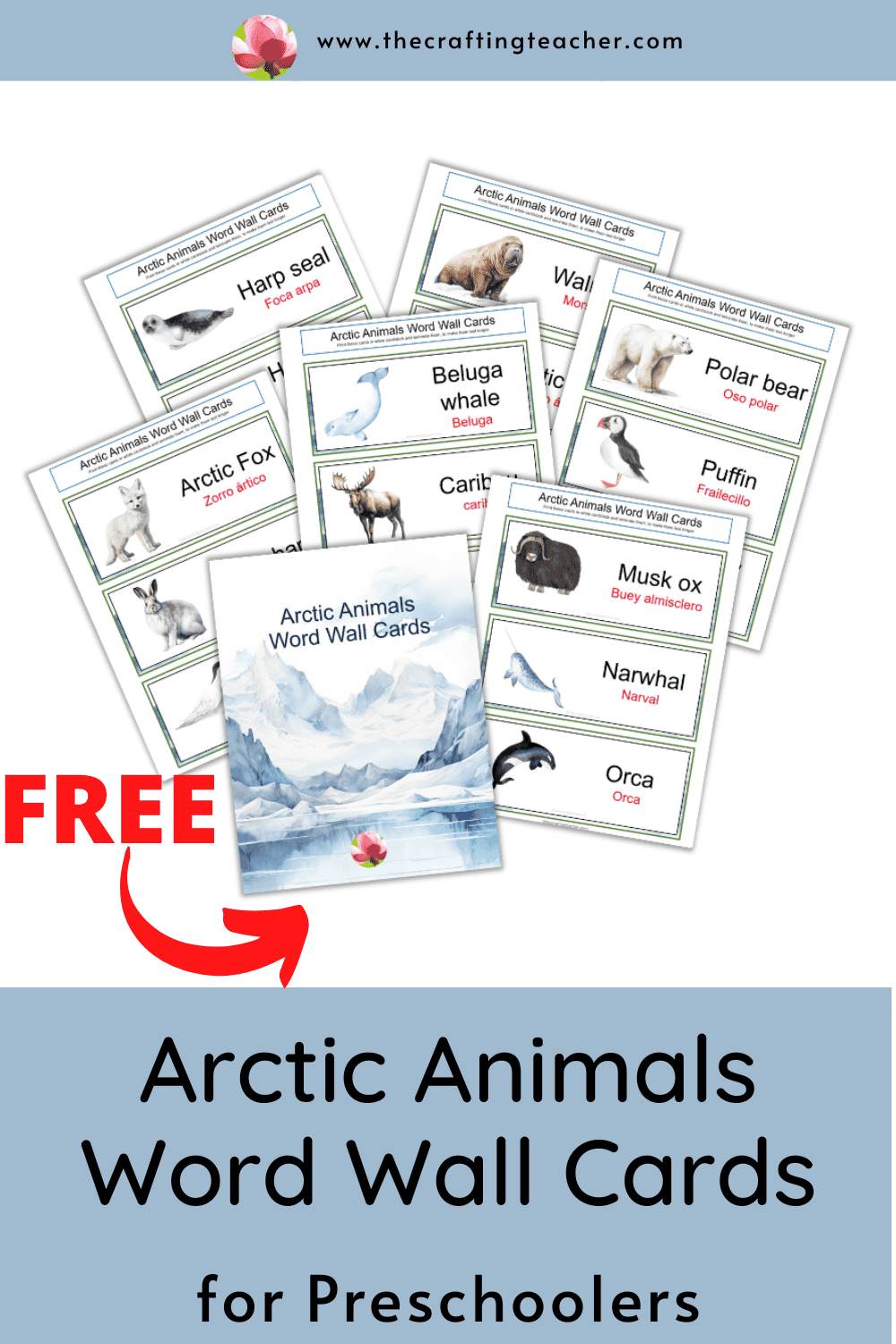 Arctic Animals Word Wall Cards
